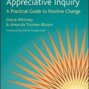 The Power of Appreciative Inquiry: A Practical Guide to Positive Change ...
